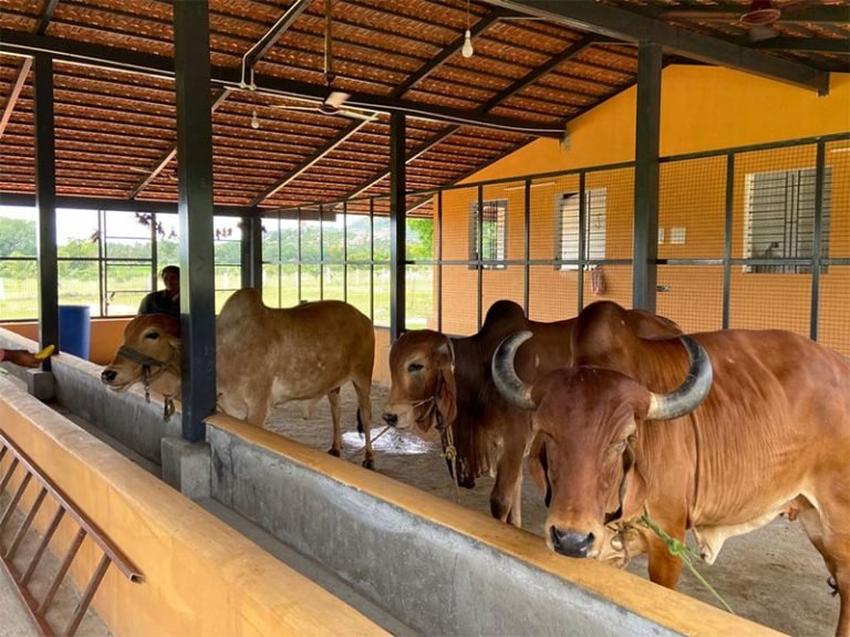 Integration of Goshala, Natural Farming & Education in a self ...