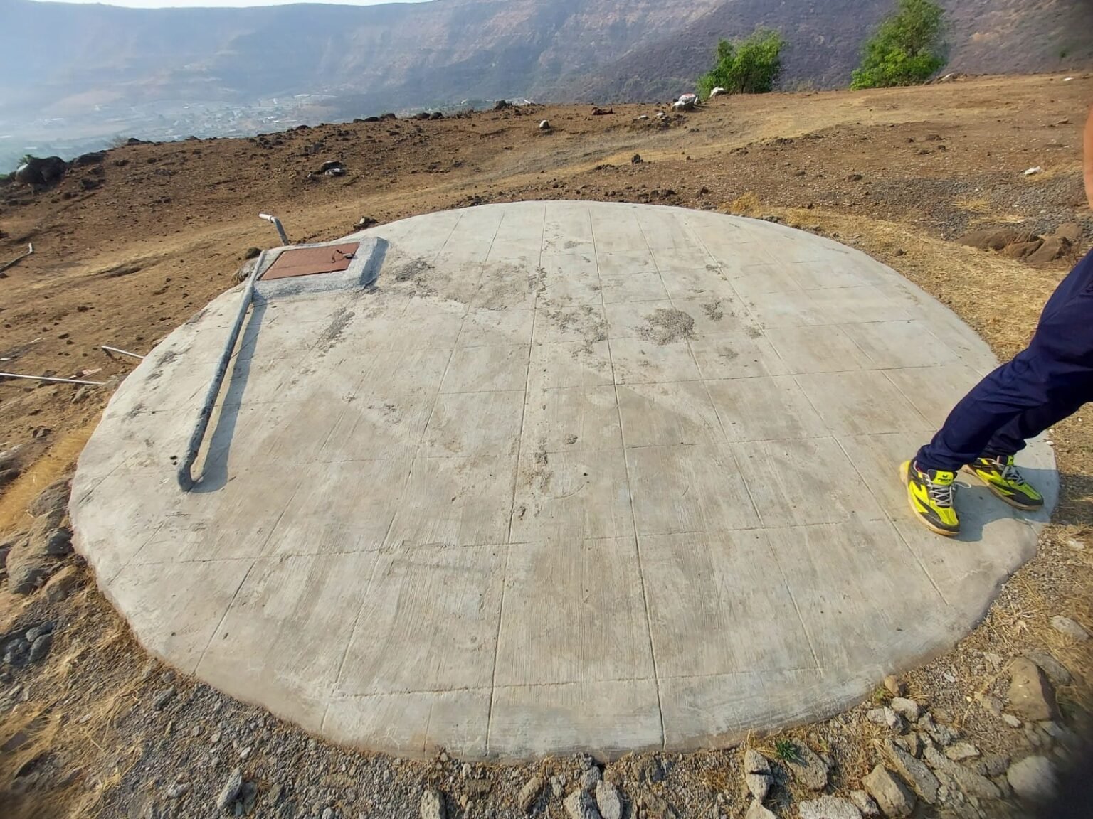 Preserving the Saswad Grasslands in Wadki, Pune - The Satsang Foundation