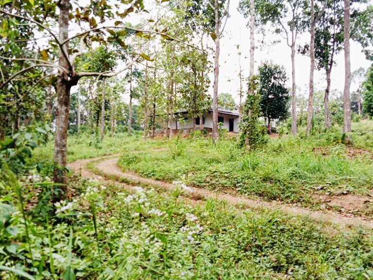 Sri Guru Babaji (Temple) Prana Pratishtha in Kerala